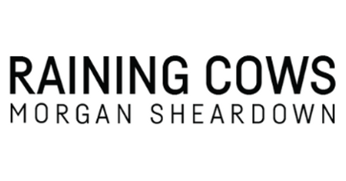 RAINING COWS | Morgan Sheardown – RAINING COWS By Morgan Sheardown
